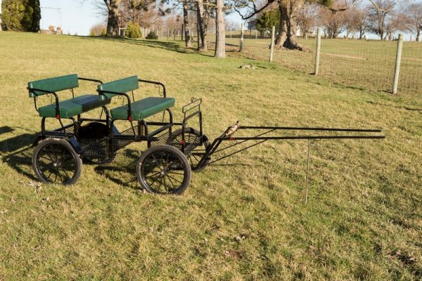 Mini 2 Seater - Sunset Carriage